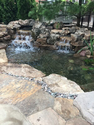 Gem Ponds | Chicago Pond Installation