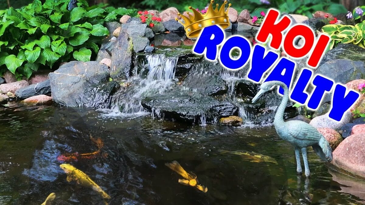 Gem Ponds | Chicago Pond Installation